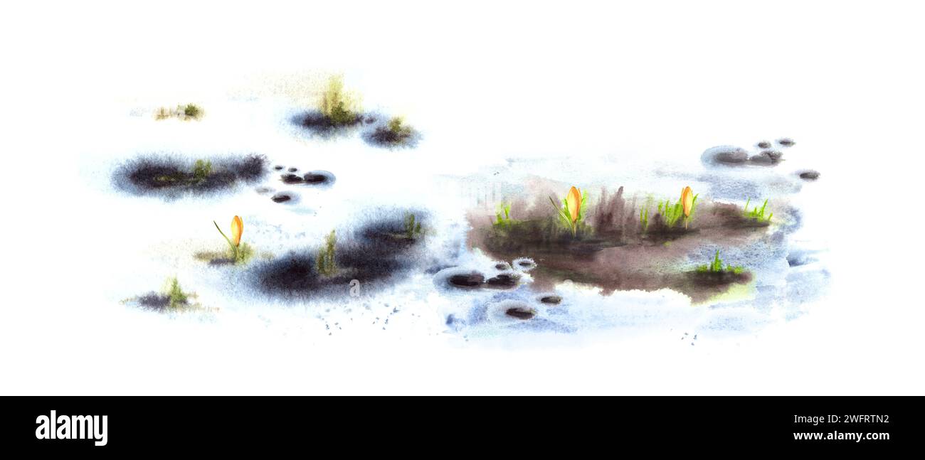 Watercolor painted landscape illustration Arrival of spring Awakening ...