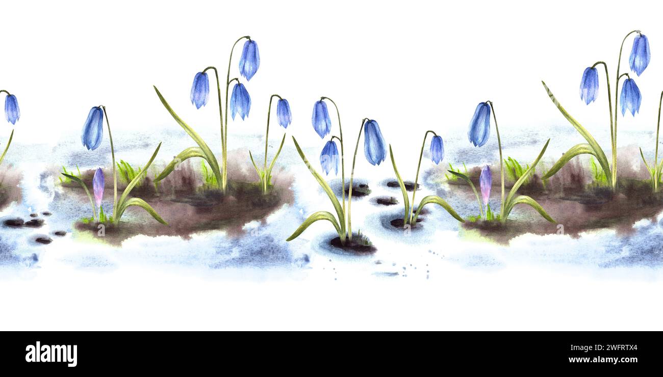 Watercolor painting primary flowers illustration Arrival of spring ...