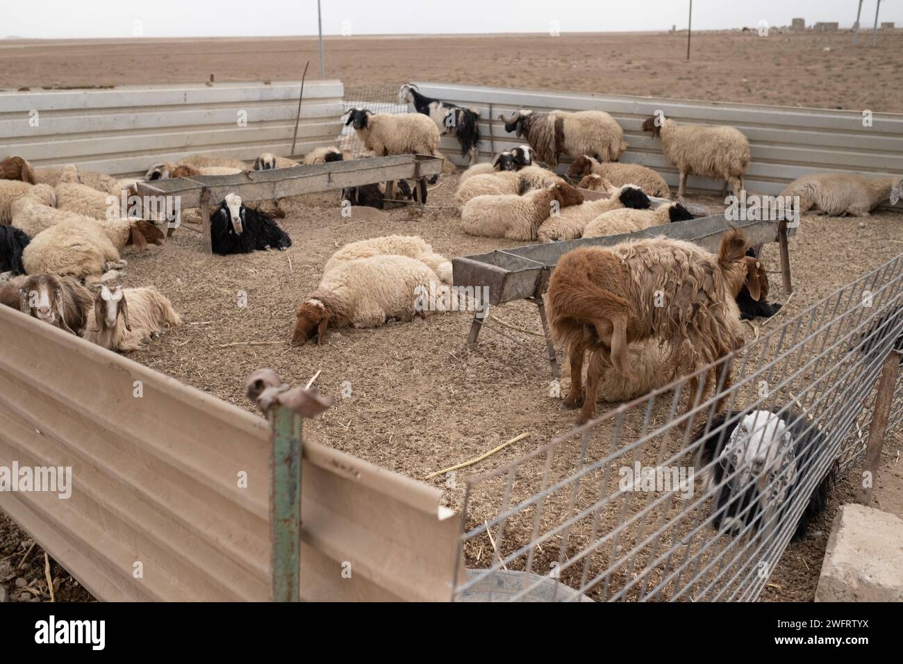Iraq, Nineveh governorate, countryside around Mosul on 2022-10-17 ...