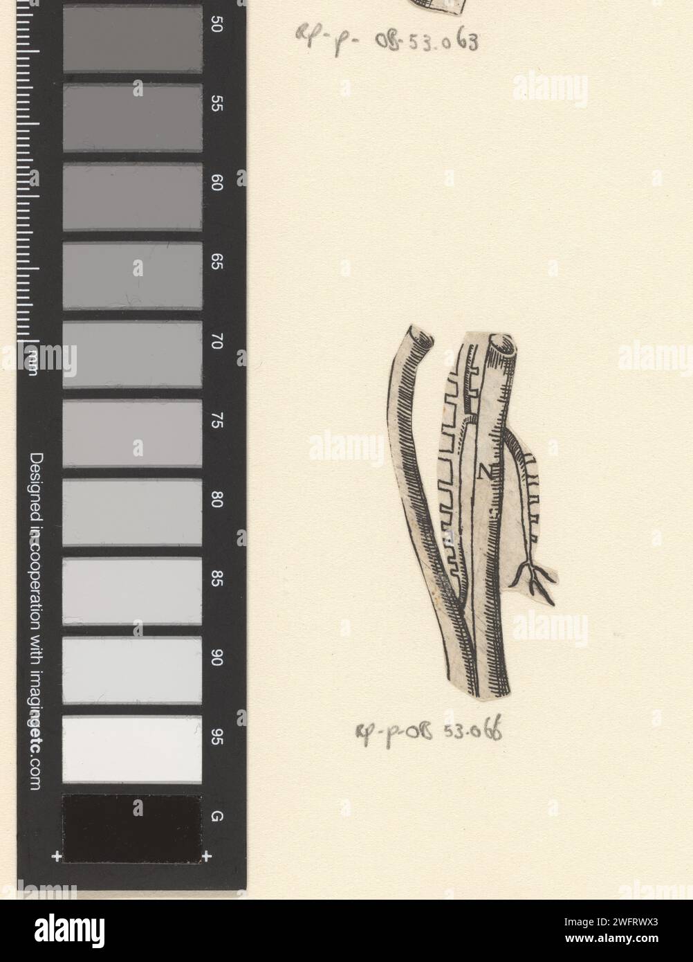 Blood vessels, Luke Kilian, 1589 - 1637 print Print is cut off the ...