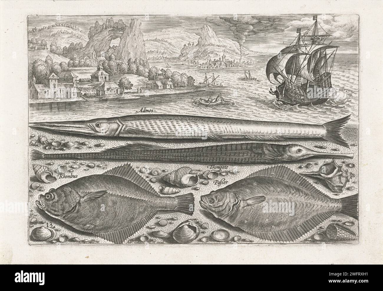 Four fish on the beach, Adriaen Collaert, after 1595 - 1618 print A ...