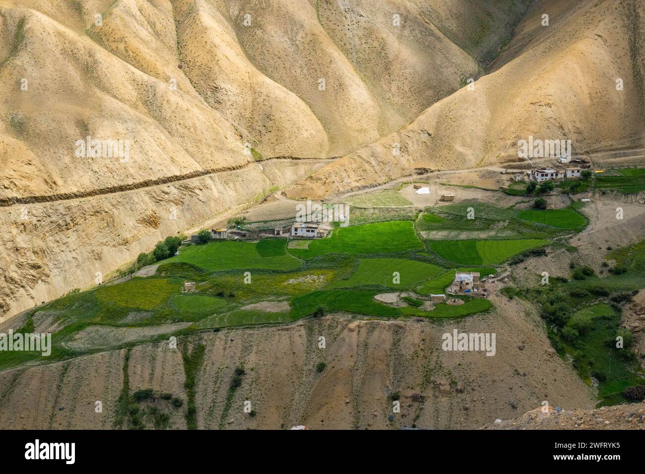 View of the oasis of Lingshed on the trans-Zanskar trek, Ladakh, India ...