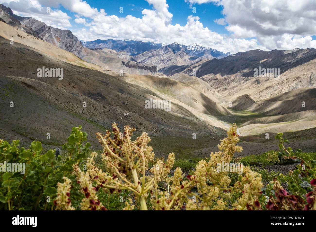 Trekking into the Lingshed Valley on the classic trans-Zanskar trek ...