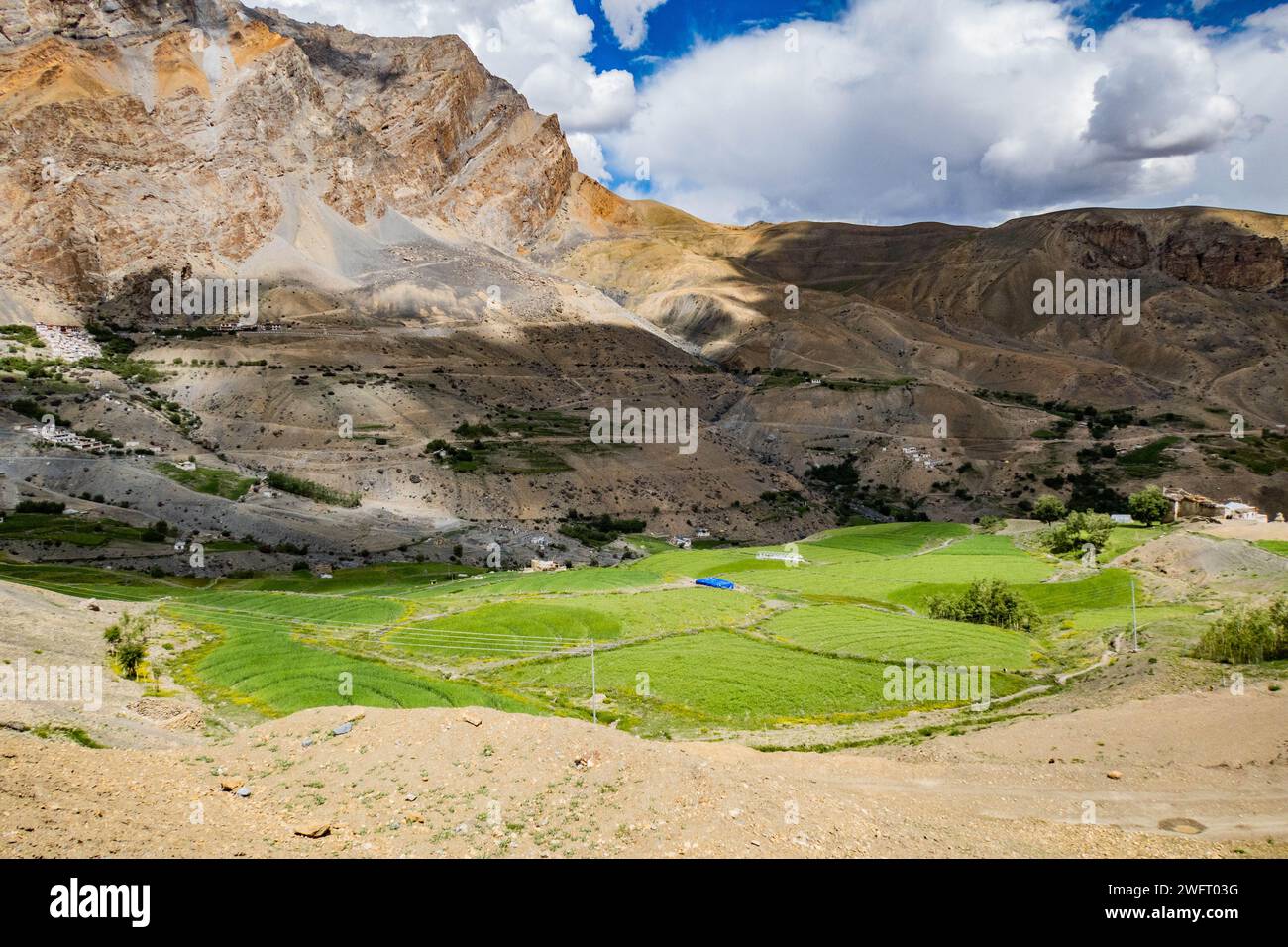 View of the oasis of Lingshed on the trans-Zanskar trek, Ladakh, India ...