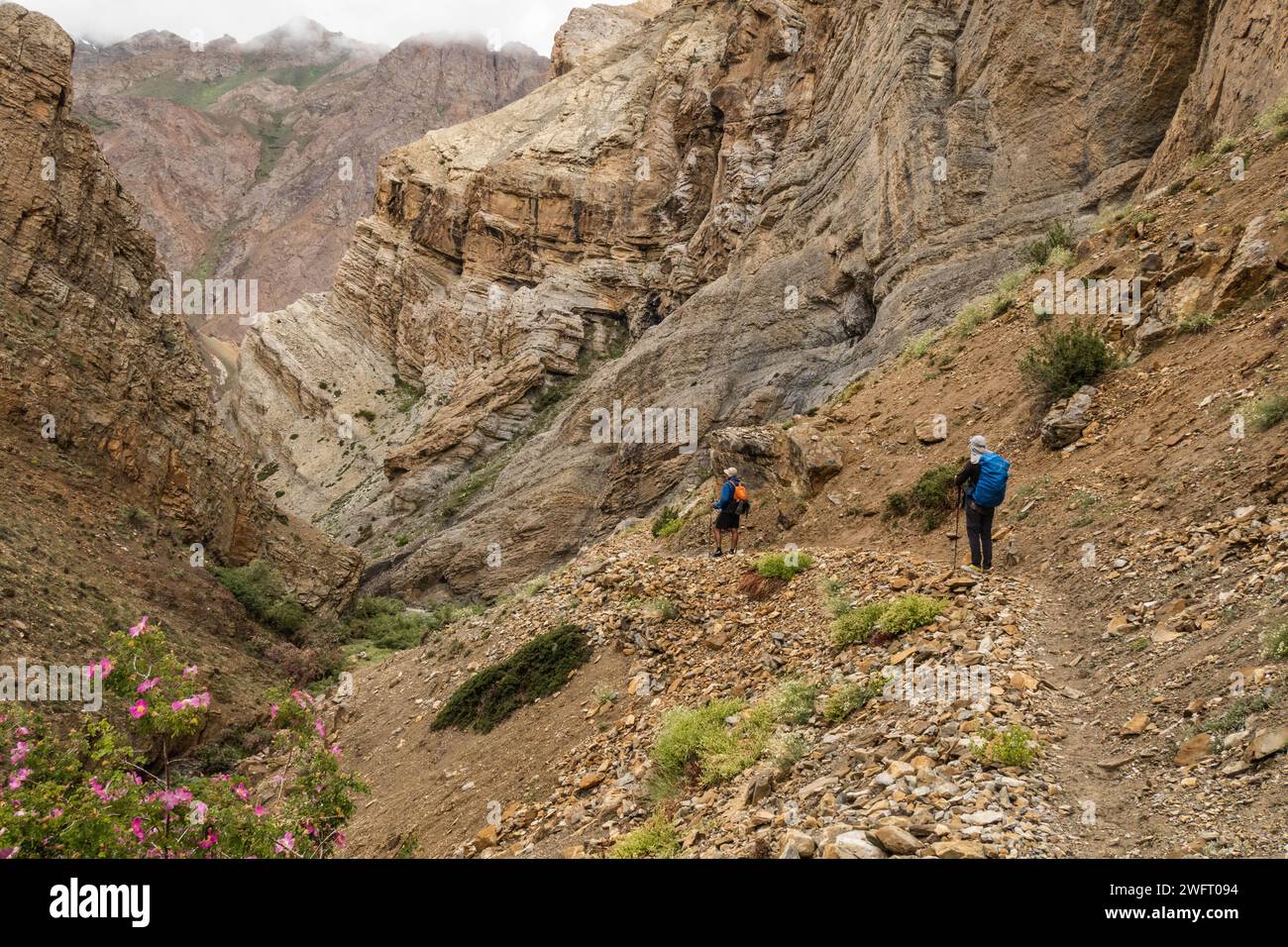 Trekking to Lingshed Sumdo, Zanskar, Ladakh, India Stock Photo - Alamy