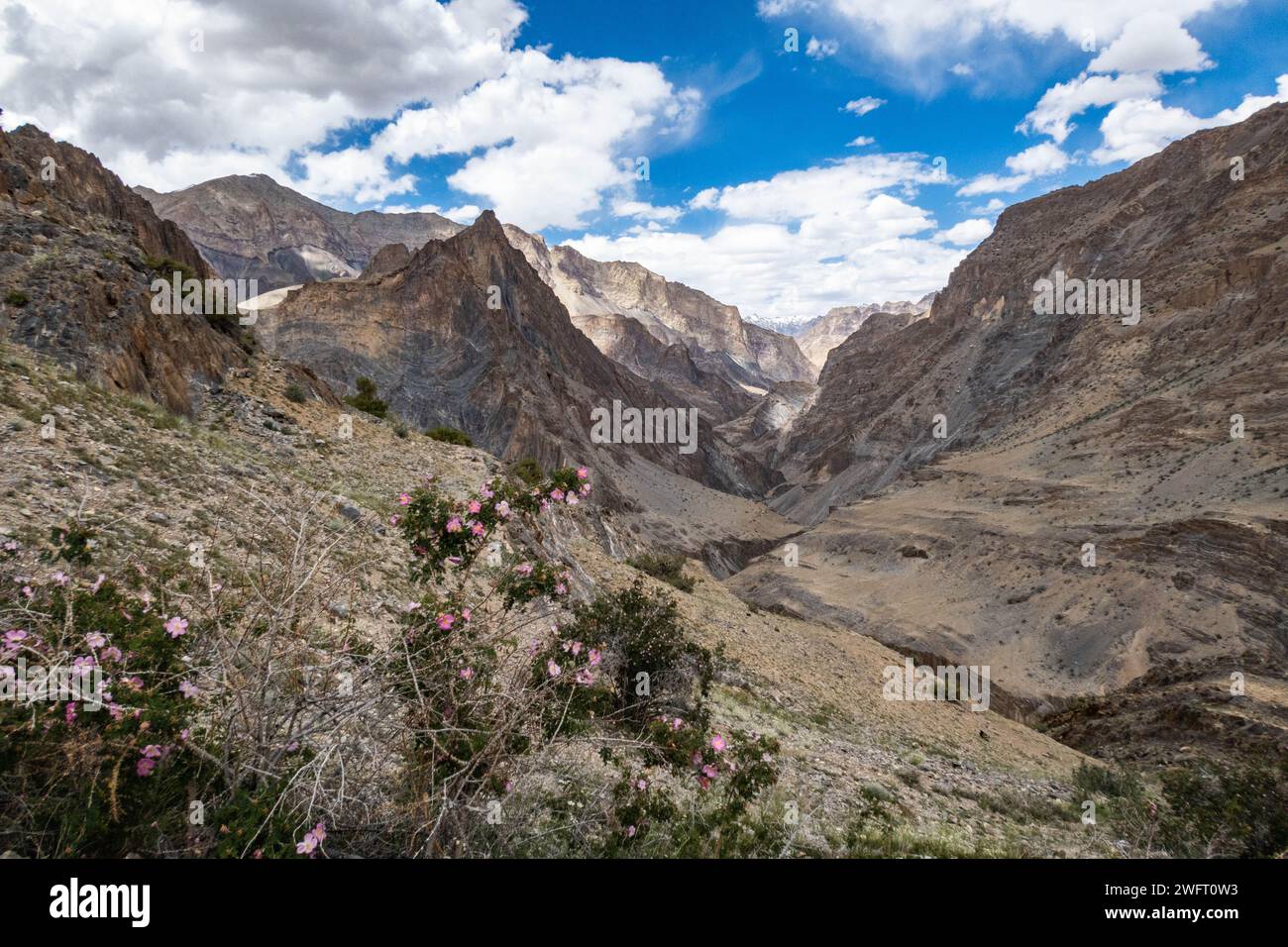 High desert scenery trekking to Zanskar, Ladakh, India Stock Photo - Alamy
