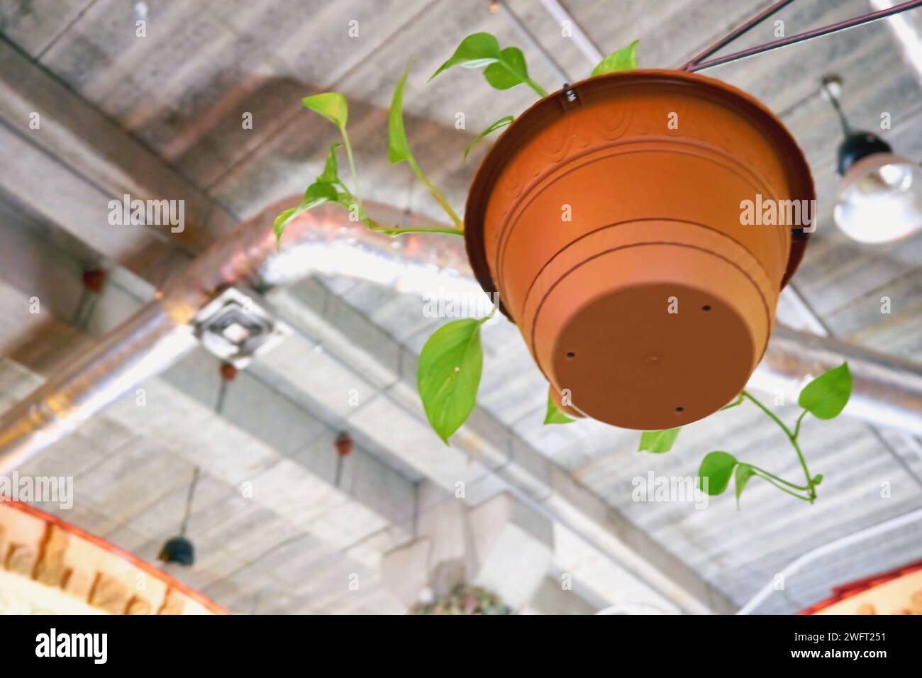 Ceramic flower pot hanging from the ceiling with communications Stock ...