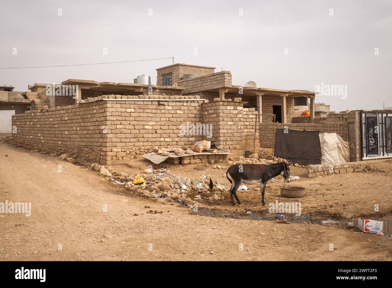 âne guerre hi-res stock photography and images - Alamy