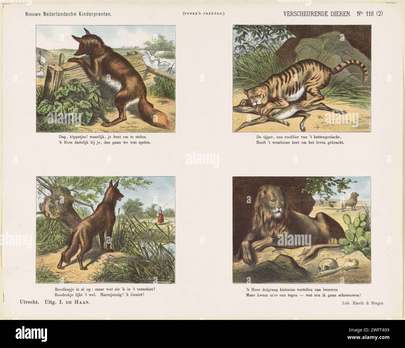 The fox and the tiger hi-res stock photography and images - Alamy