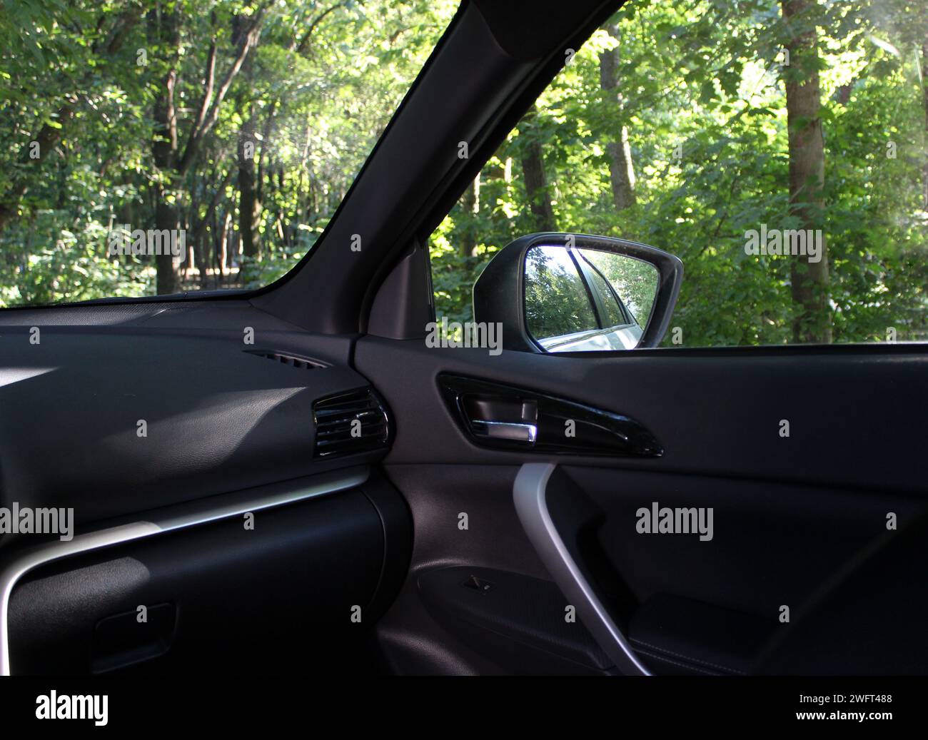 Beautiful view of the forest from inside the car Stock Photo - Alamy