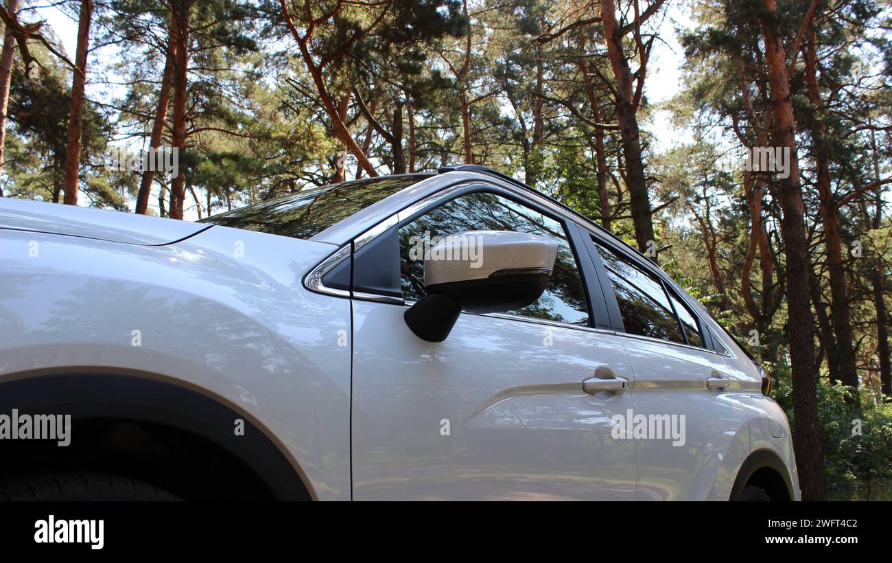 Bottom view from the front wheel of a car standing among the trees in ...