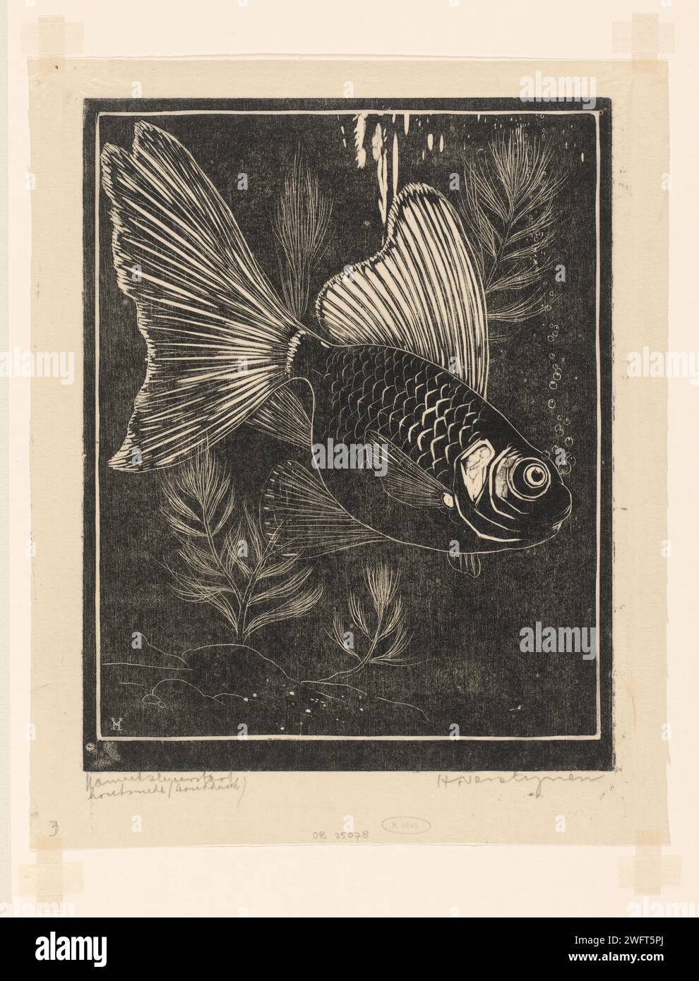 Camel veil tail, Henri Verstijnen, 1892 - 1940 print paper fishes Stock ...