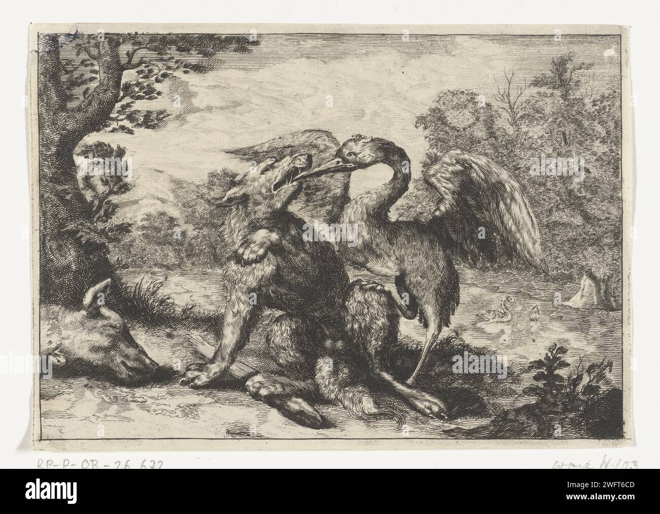 Wolf eating sheep hi-res stock photography and images - Alamy