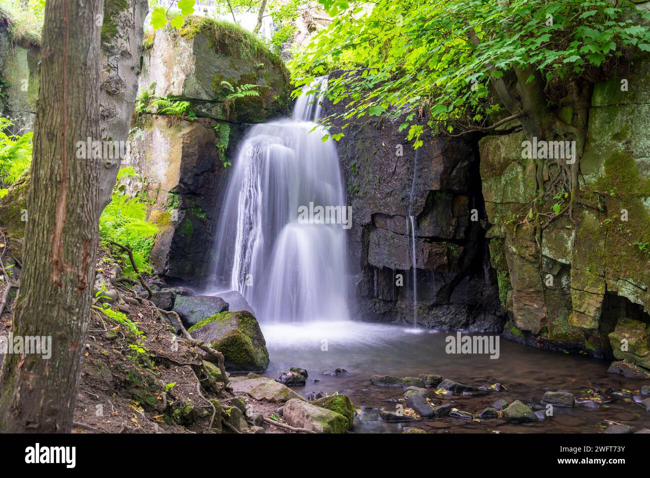 Lumsdale waterfall,Matlock,Derbyshire peak district,England ,UK Stock ...