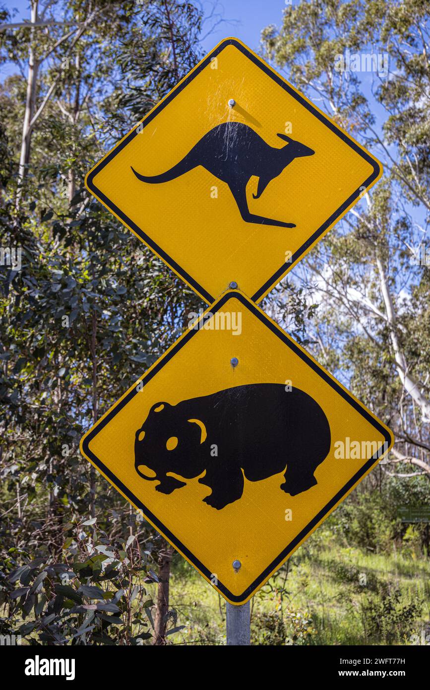 Kangaroo and Wombat road sign, Australia Stock Photo - Alamy