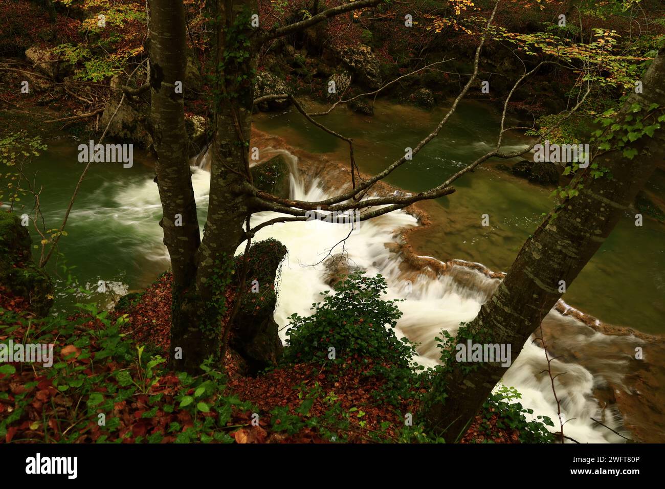 The Natural Park of Urbasa-Andía is a protected natural area of the ...