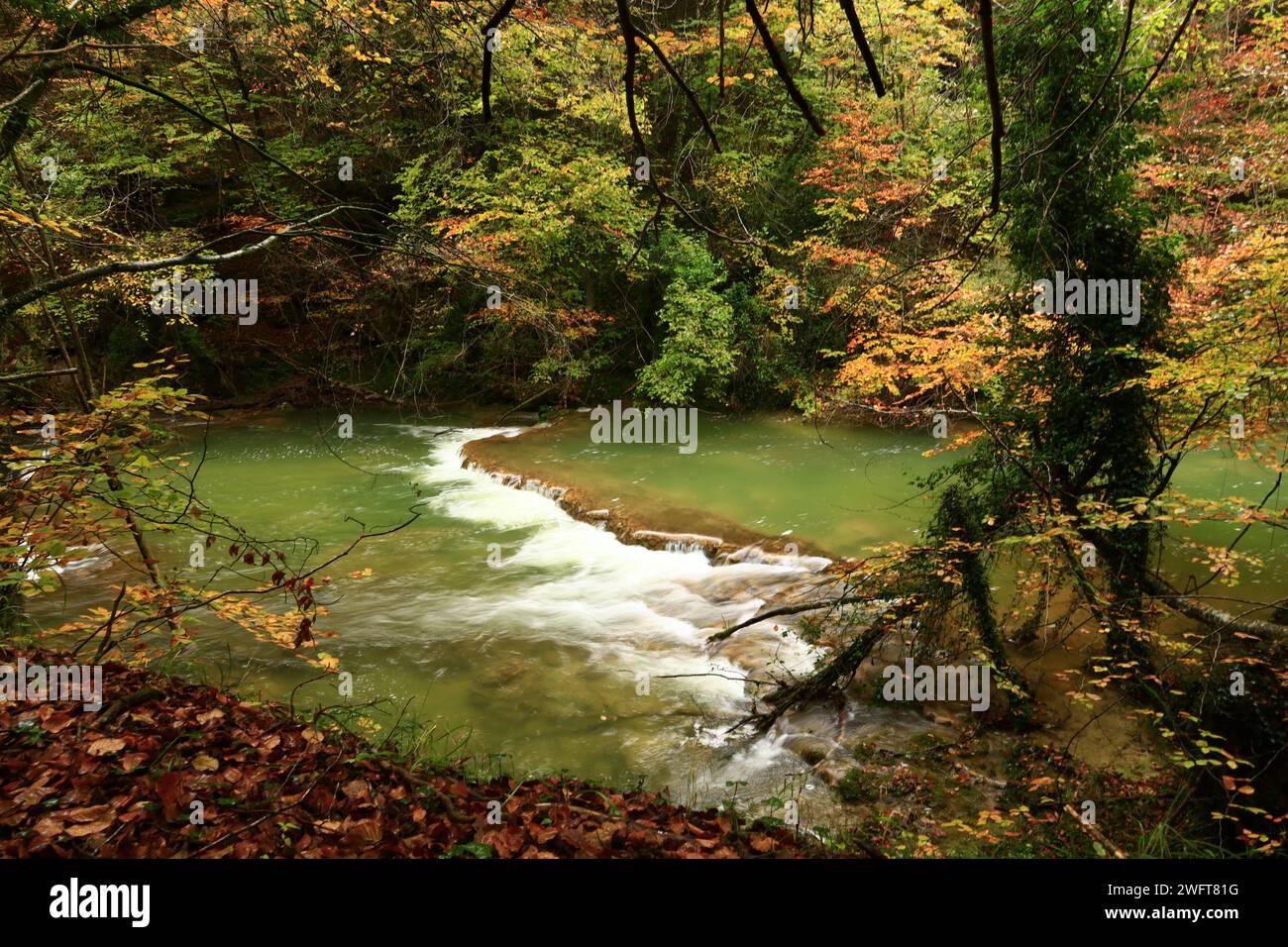The Natural Park of Urbasa-Andía is a protected natural area of the ...