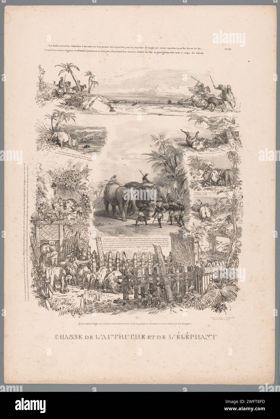 Hunting for ostrich and elephant, Charles Aubry, 1836 - 1837 print This ...