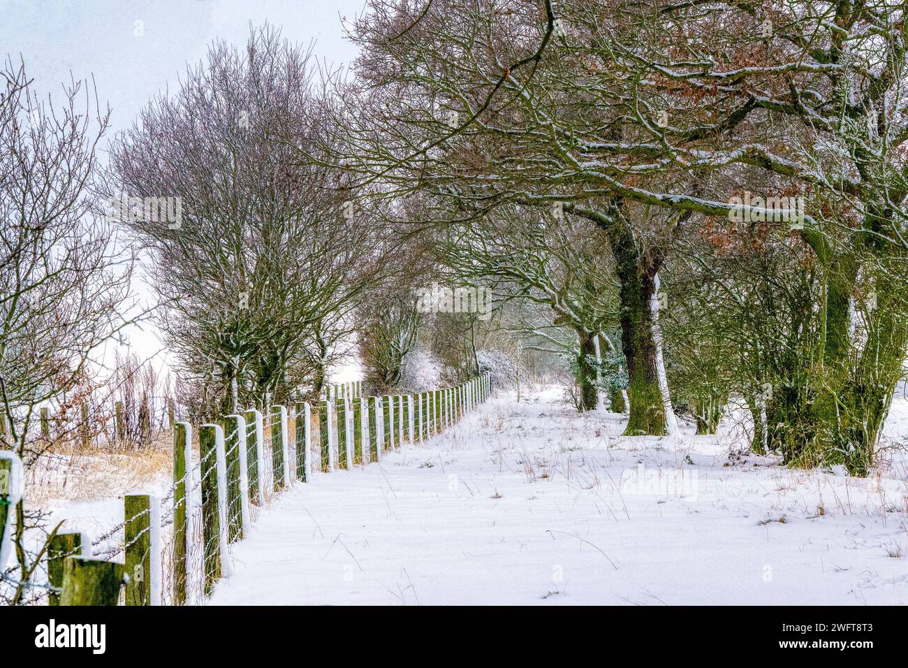 Wonky fence hi-res stock photography and images - Alamy