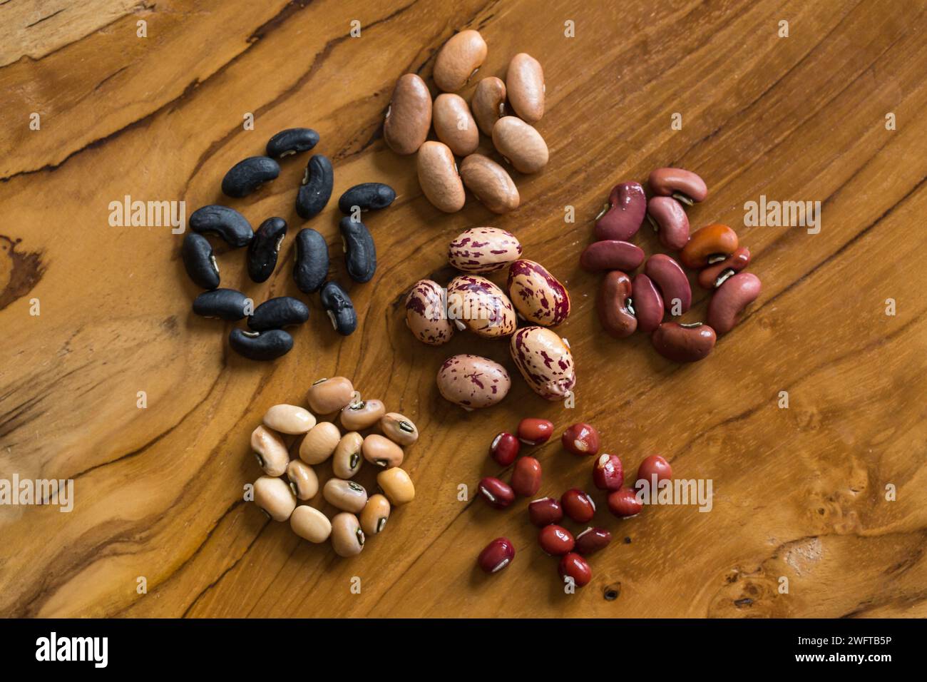 Collection of different colourful bean varieties. Bean assortment on ...