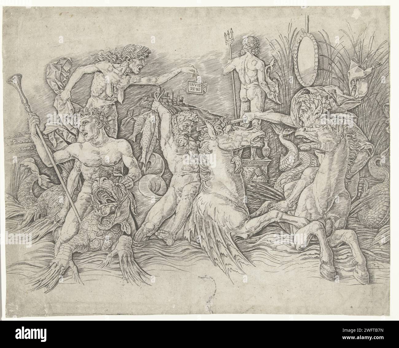 Fight between satyrs driving on hippocampuses and old woman as ...