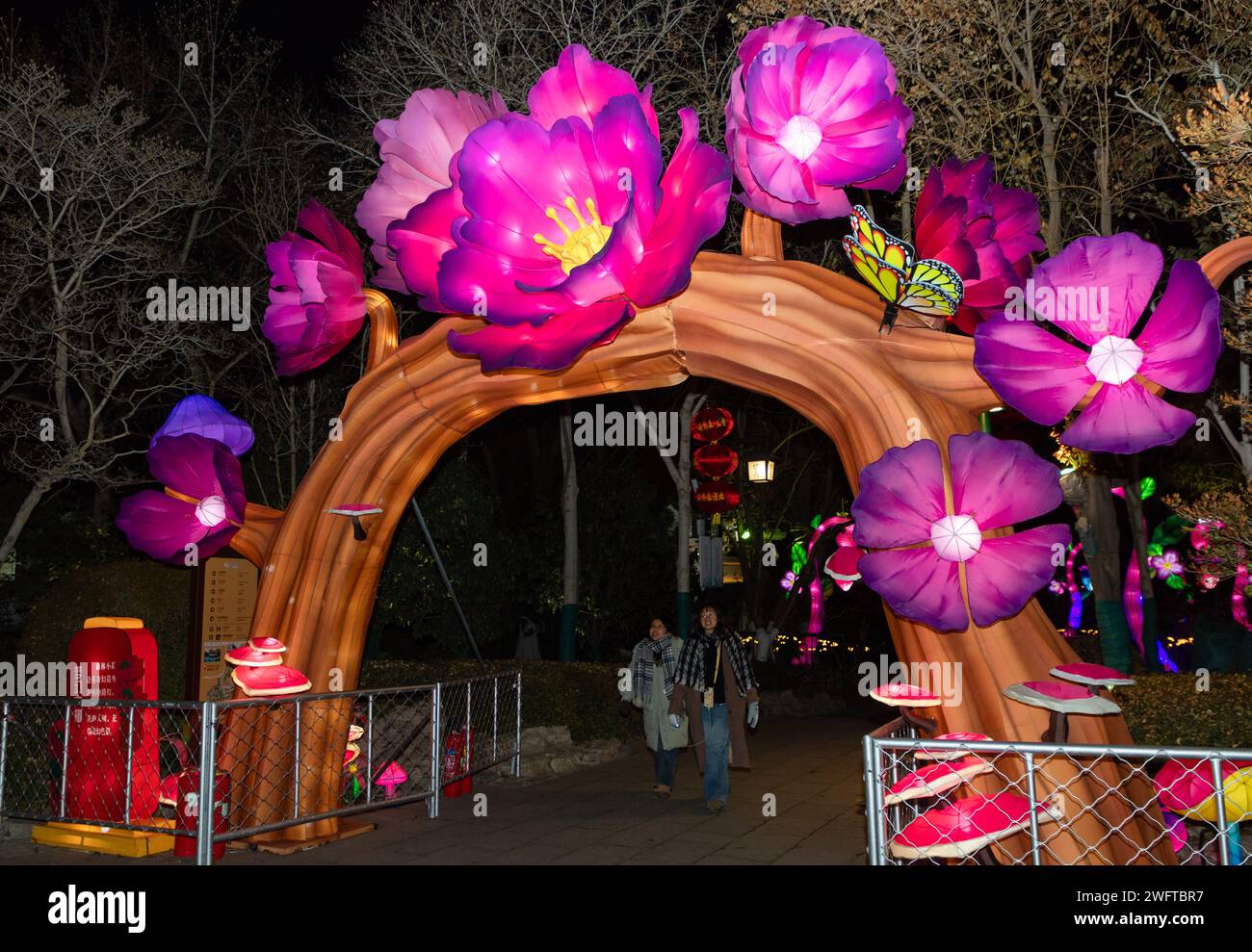 Jinan, China. 01st Feb, 2024. JINAN, CHINA - FEBRUARY 1, 2024 ...