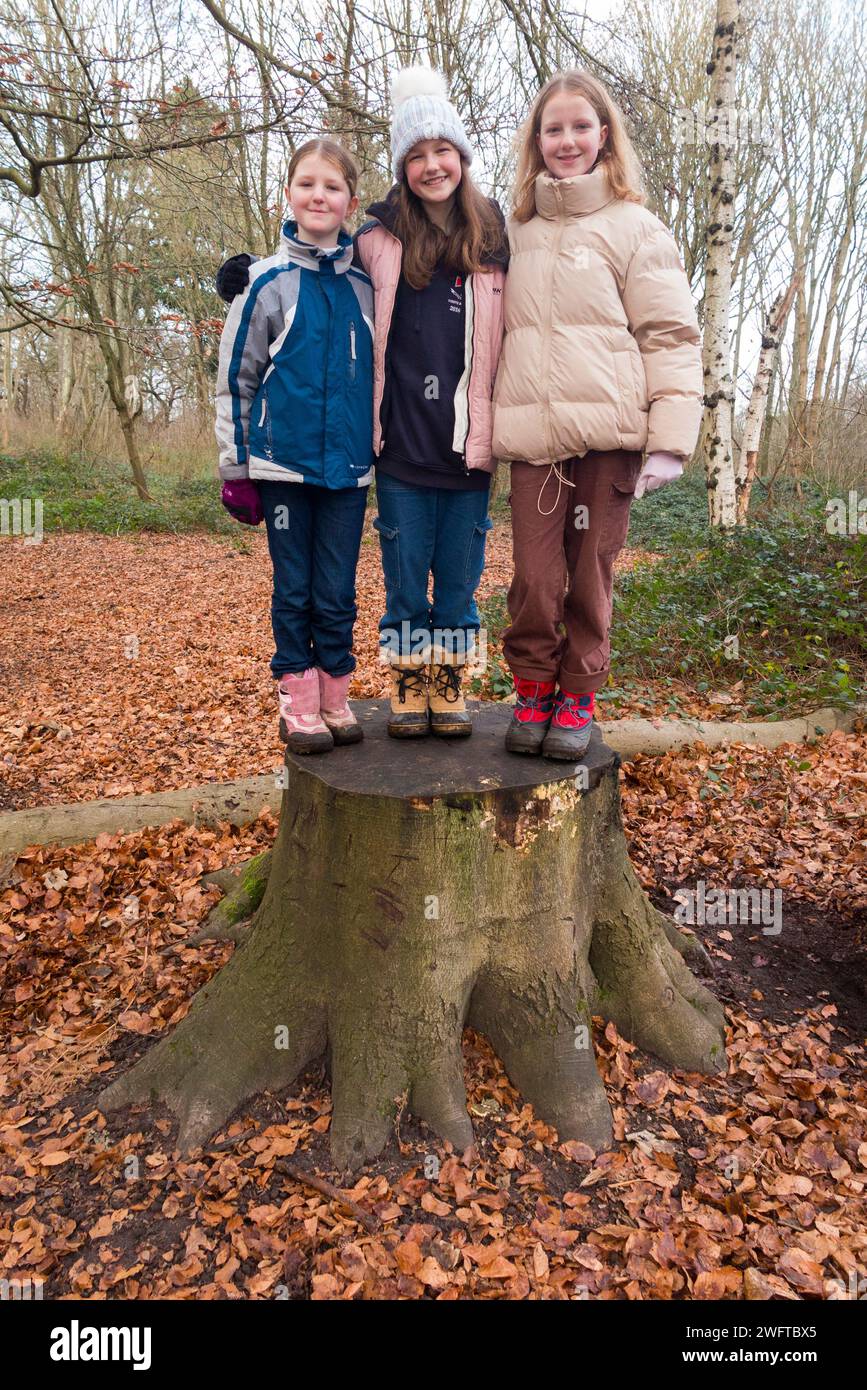 Children girls / kids / kid / girls pose on low felled tree stump as ...