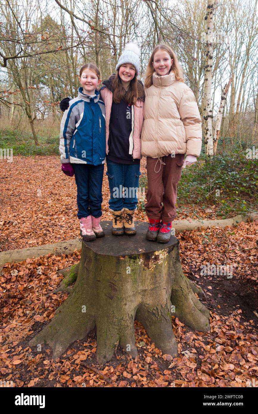 Children girls / kids / kid / girls pose on low felled tree stump as ...