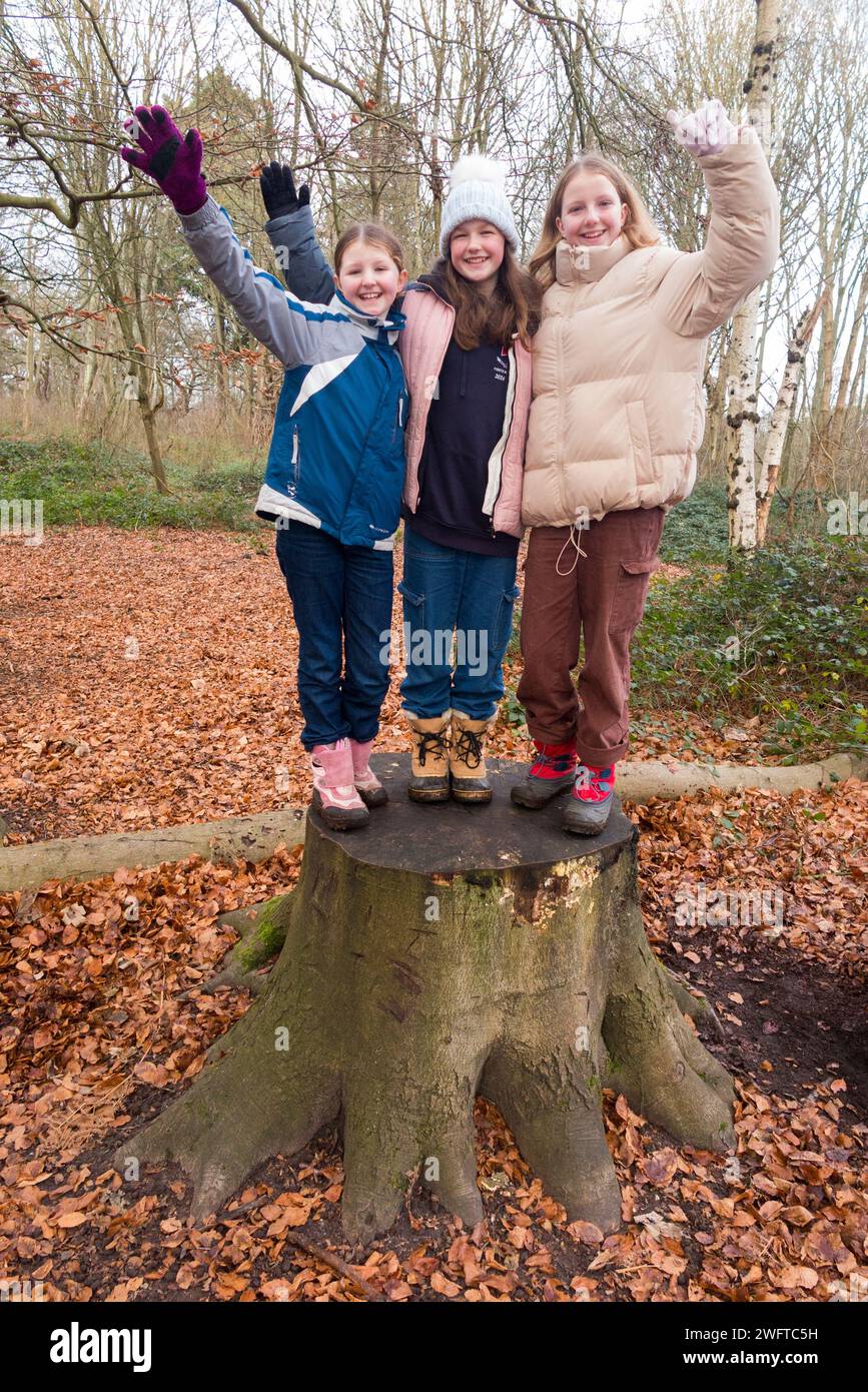 Children girls / kids / kid / girls pose on low felled tree stump as ...
