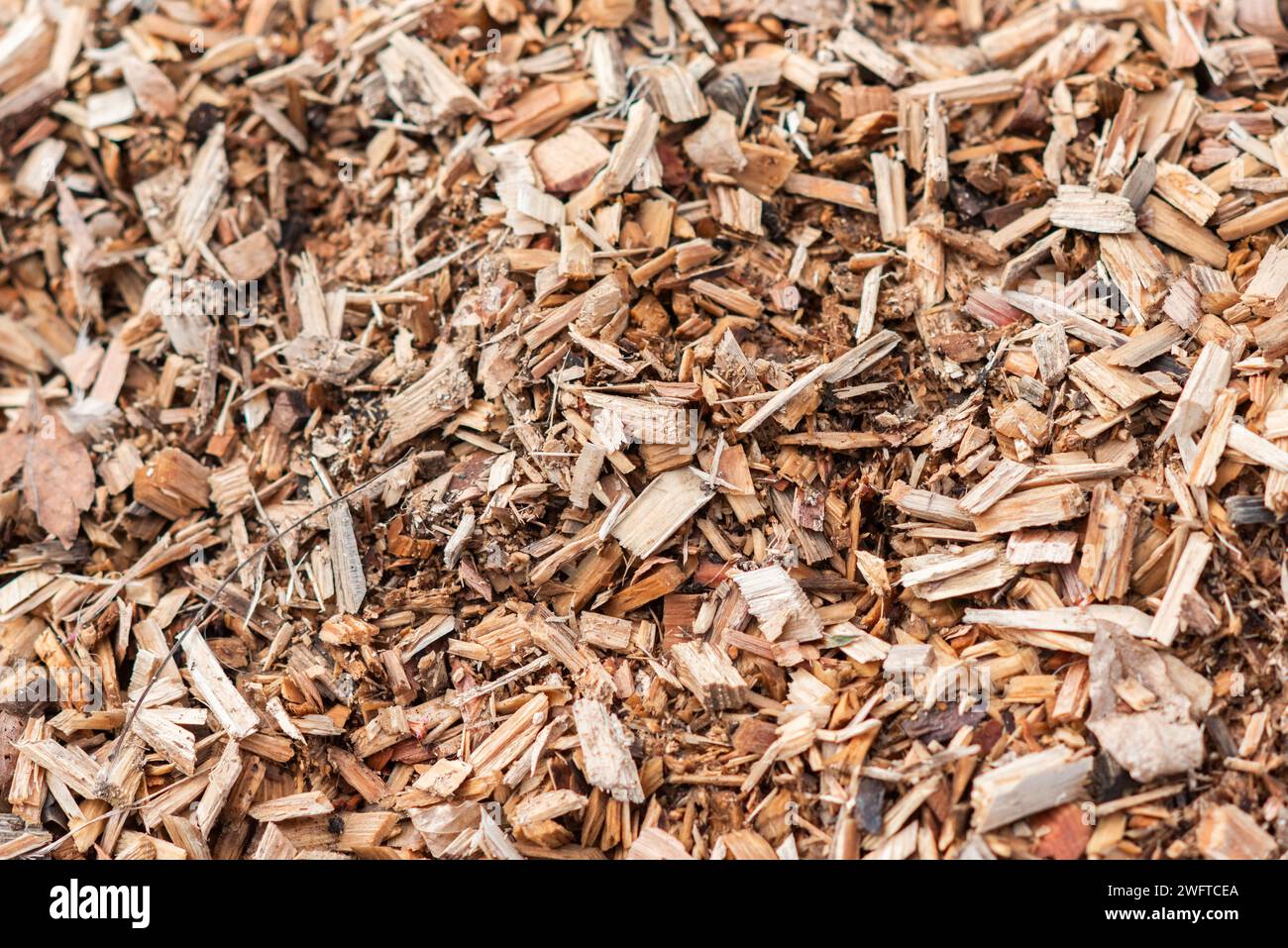 Wood waste pieces hi-res stock photography and images - Alamy