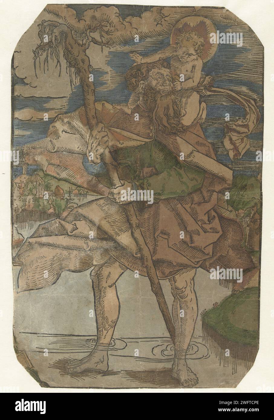 Uprooted palm tree after hi-res stock photography and images - Alamy