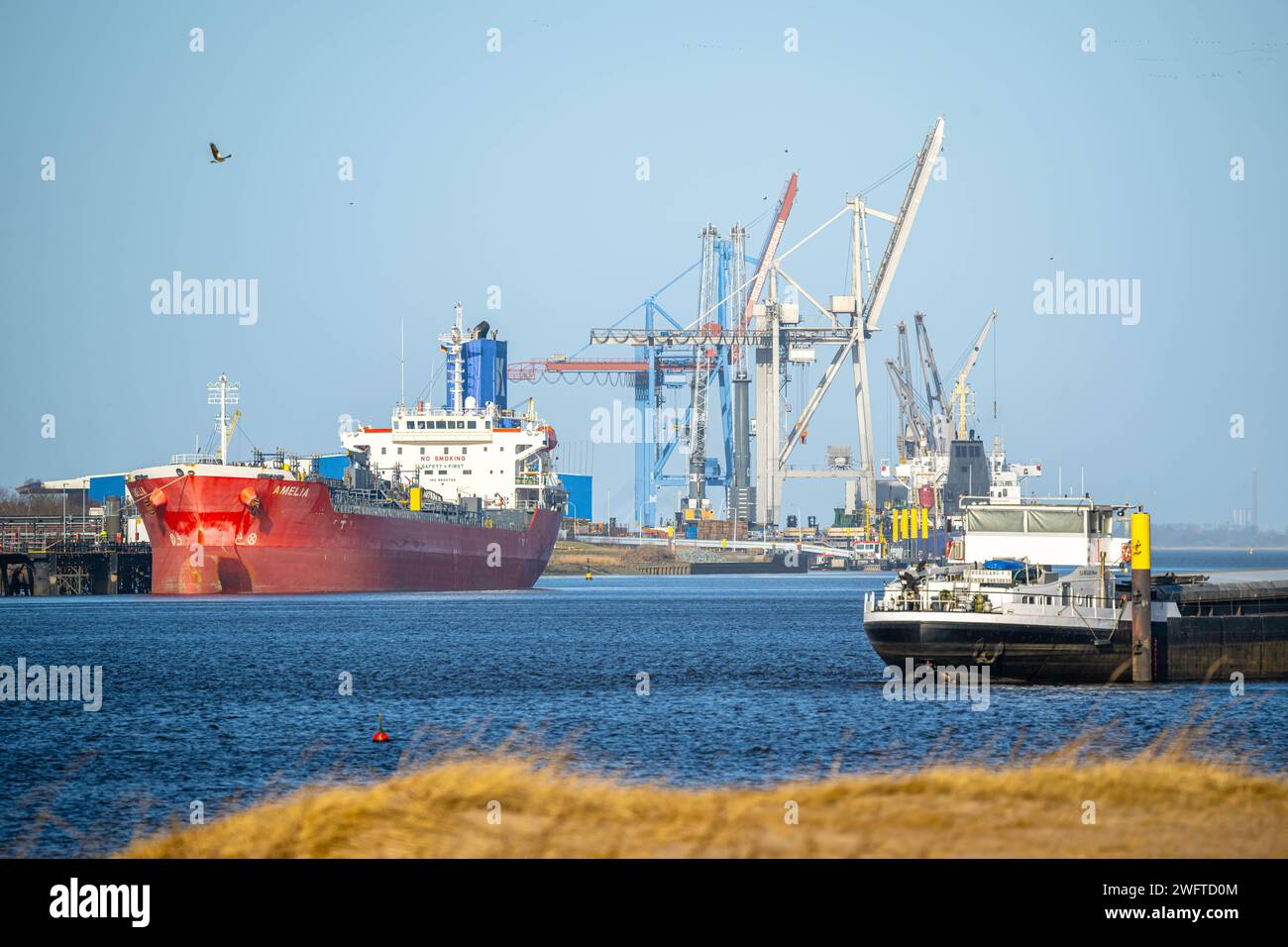 Brake, Germany. 01st Feb, 2024. Ships moored in the port of Brake. A ...