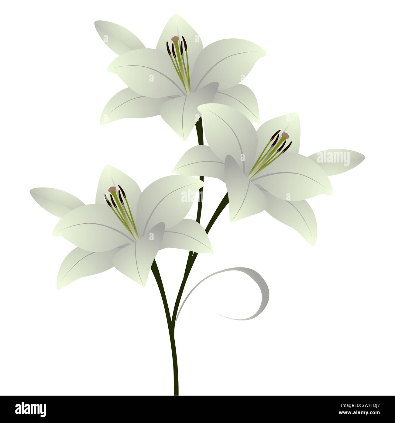 Stylized lily hi-res stock photography and images - Alamy