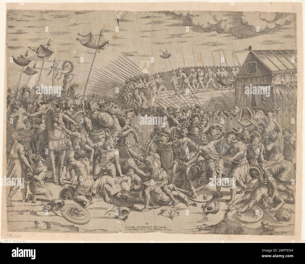 Foreground scipio africanus hi-res stock photography and images - Alamy