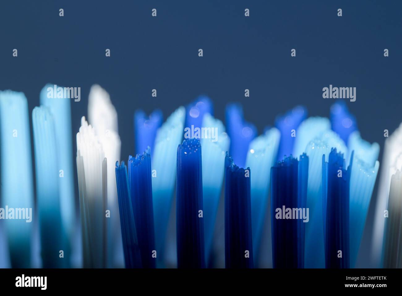Details of blue and white toothbrush hair bristles horizontally Stock ...