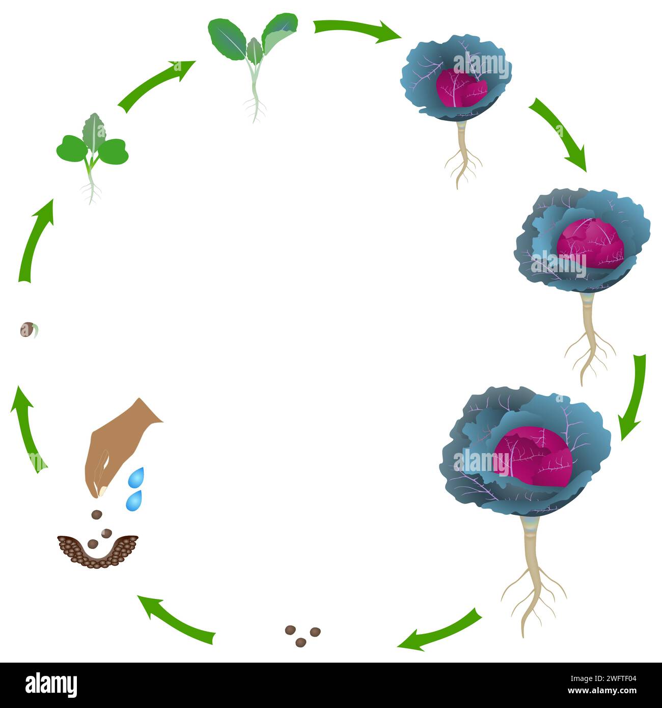 Purple red stage background Cut Out Stock Images & Pictures - Alamy