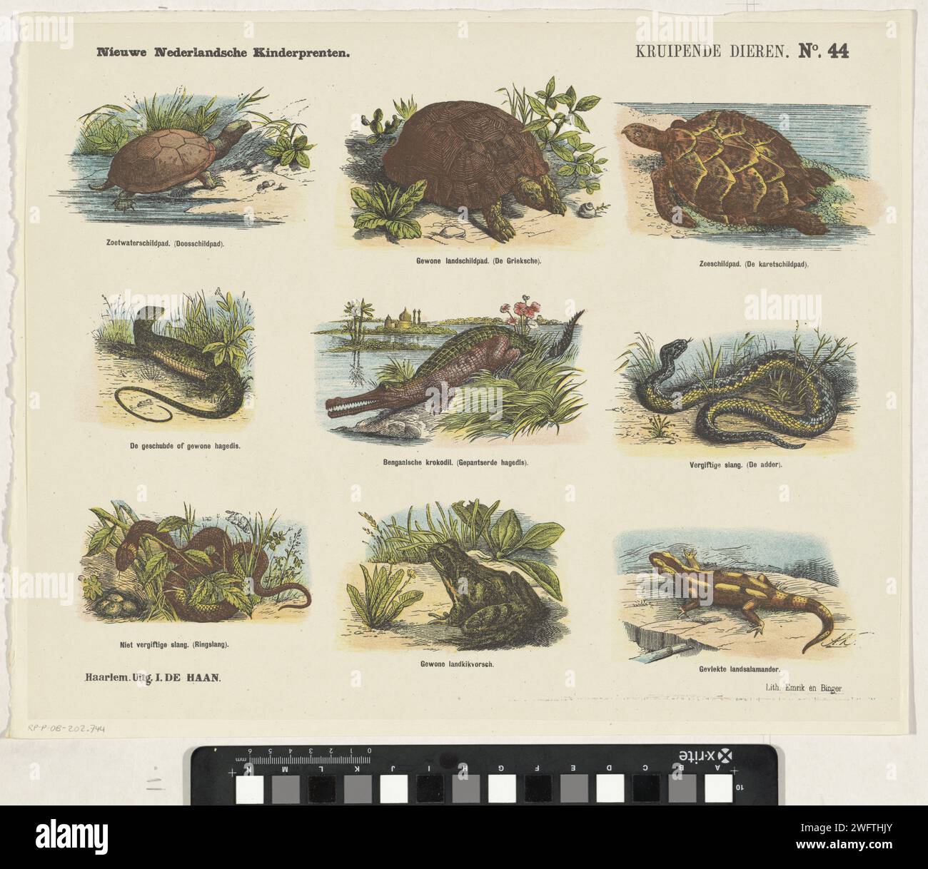 Crawling animals, 1875 - 1903 print Leaf with 9 shows of reptiles and ...
