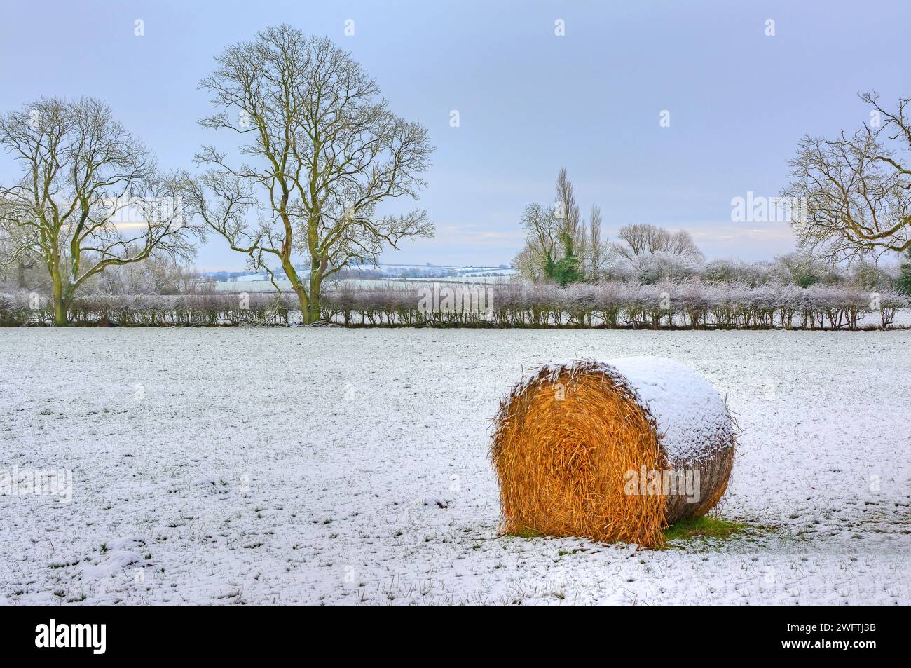 Countryside rural field frost hi-res stock photography and images - Alamy