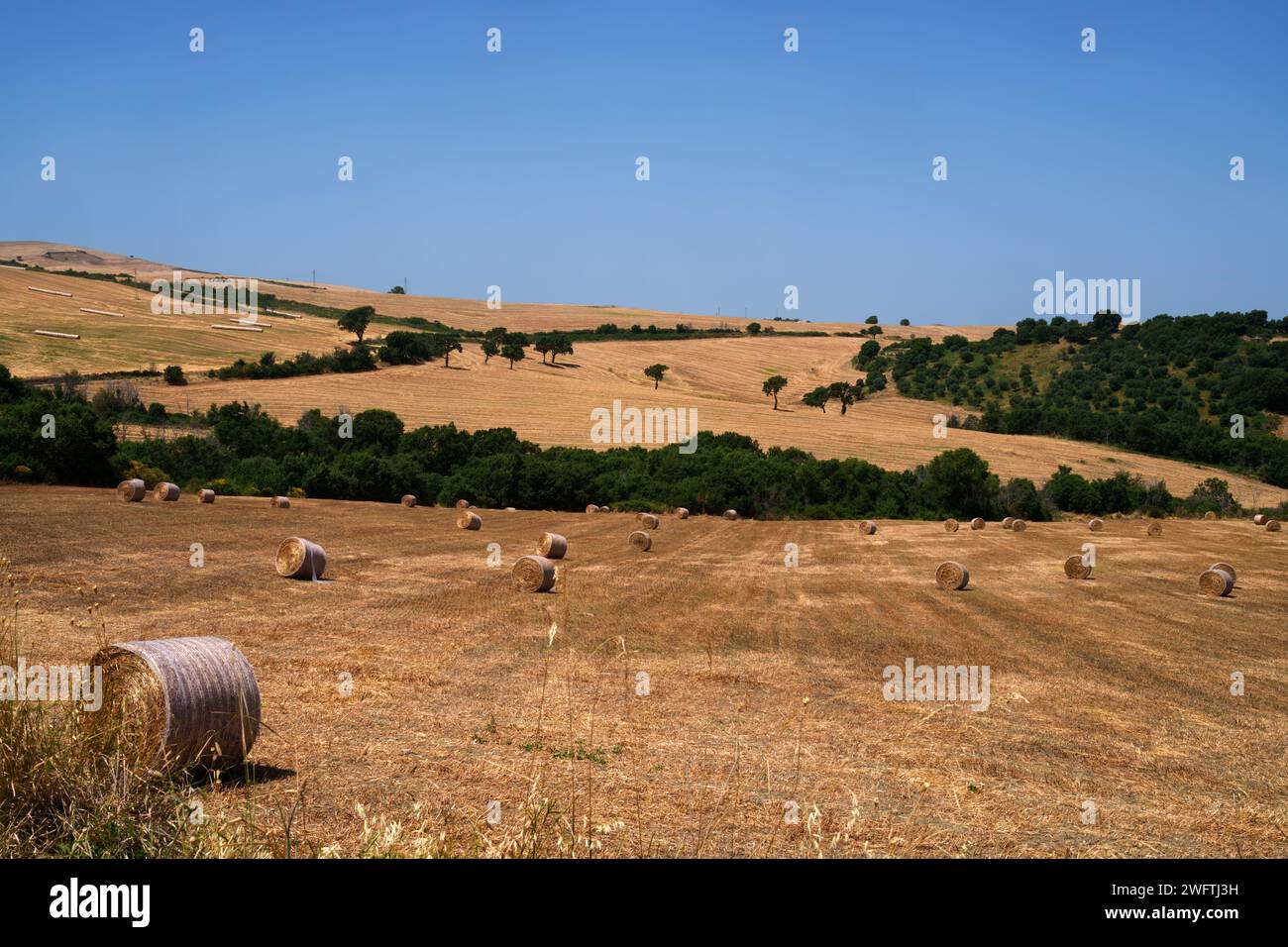 Country landscape near Forenza and Venosa, in Potenza province ...