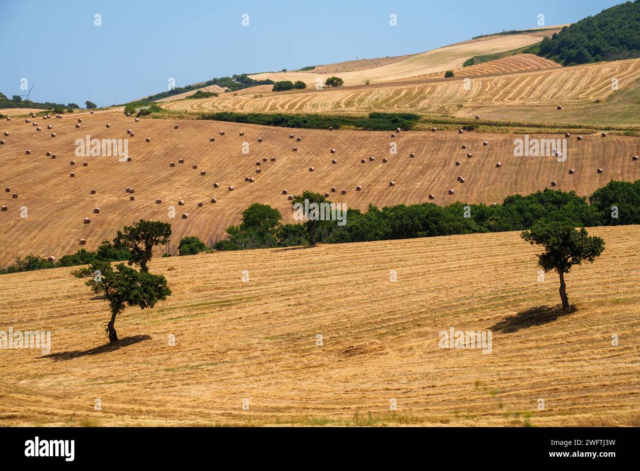 Country landscape near Forenza and Venosa, in Potenza province ...