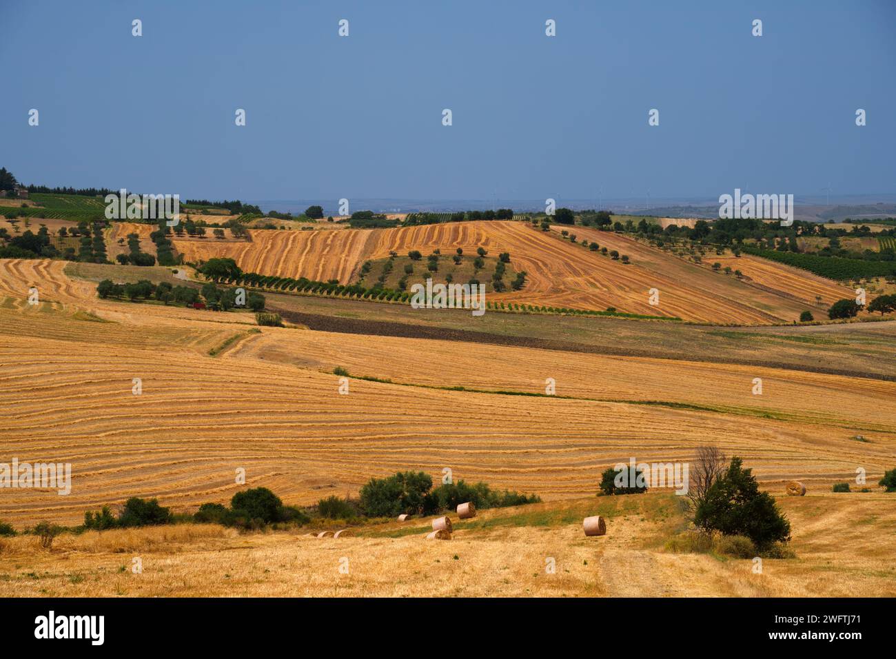 Country landscape near Forenza and Venosa, in Potenza province ...