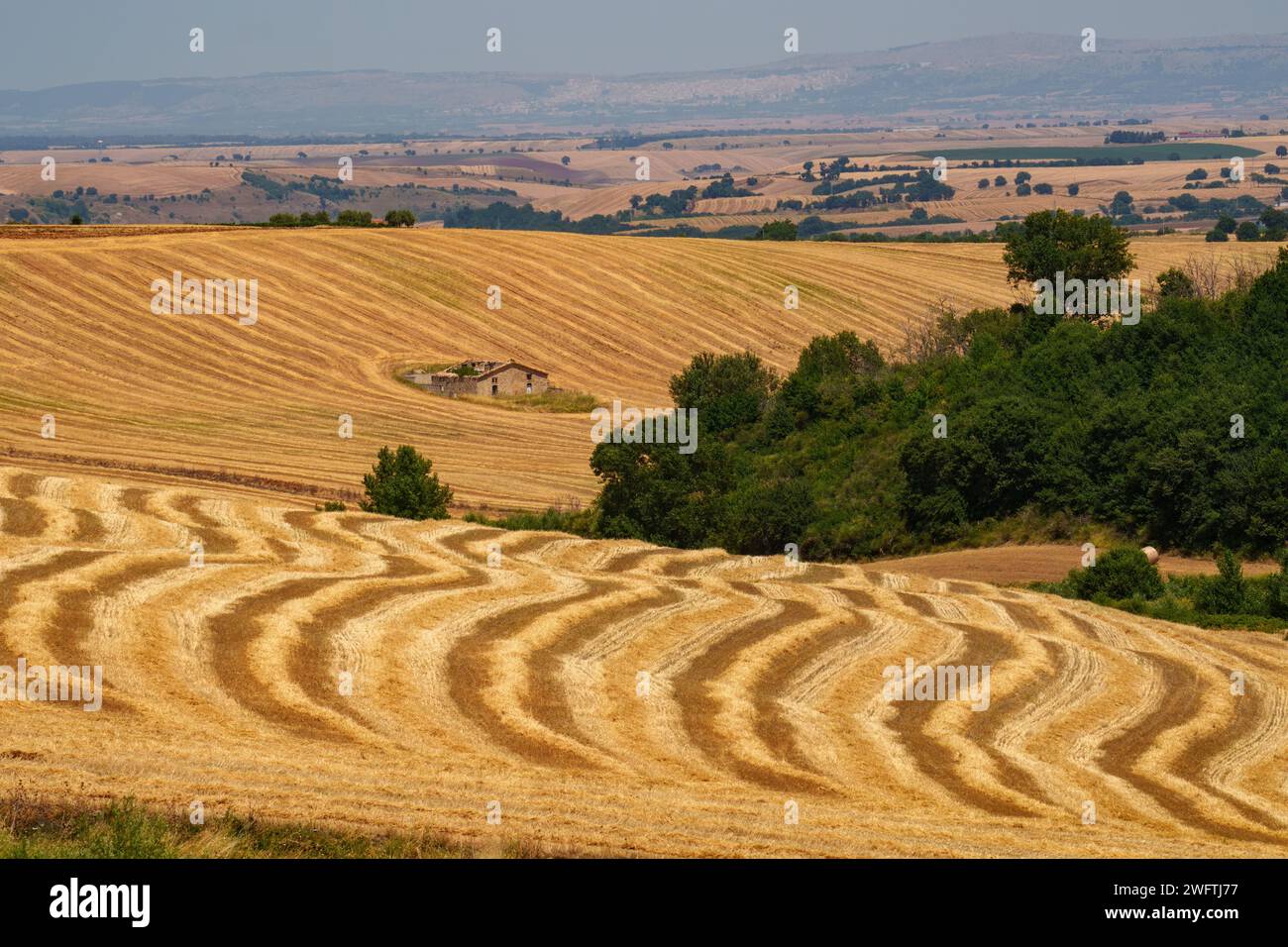 Country landscape near Forenza and Venosa, in Potenza province ...