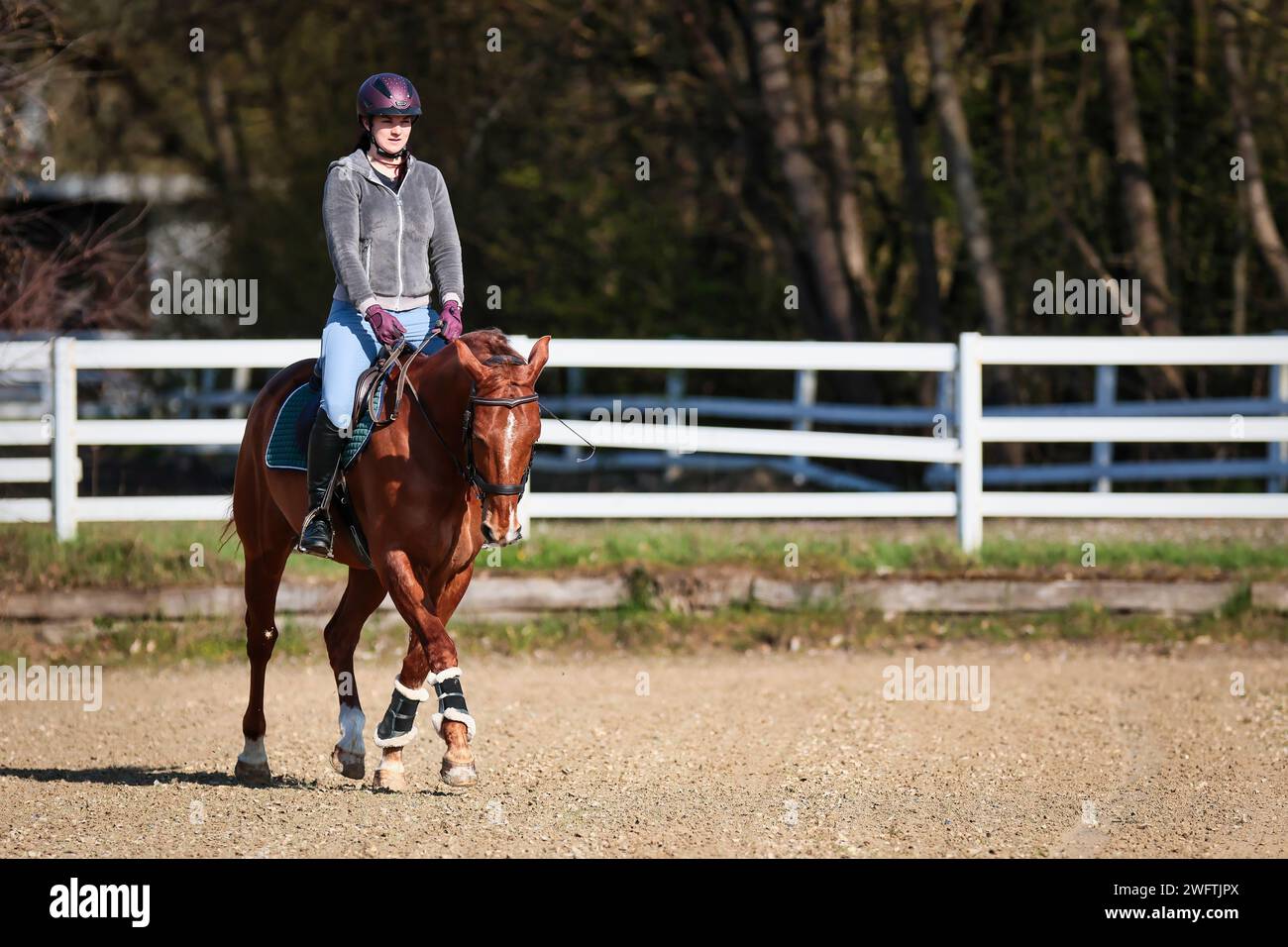 Woman rides quarter horse hi-res stock photography and images - Alamy