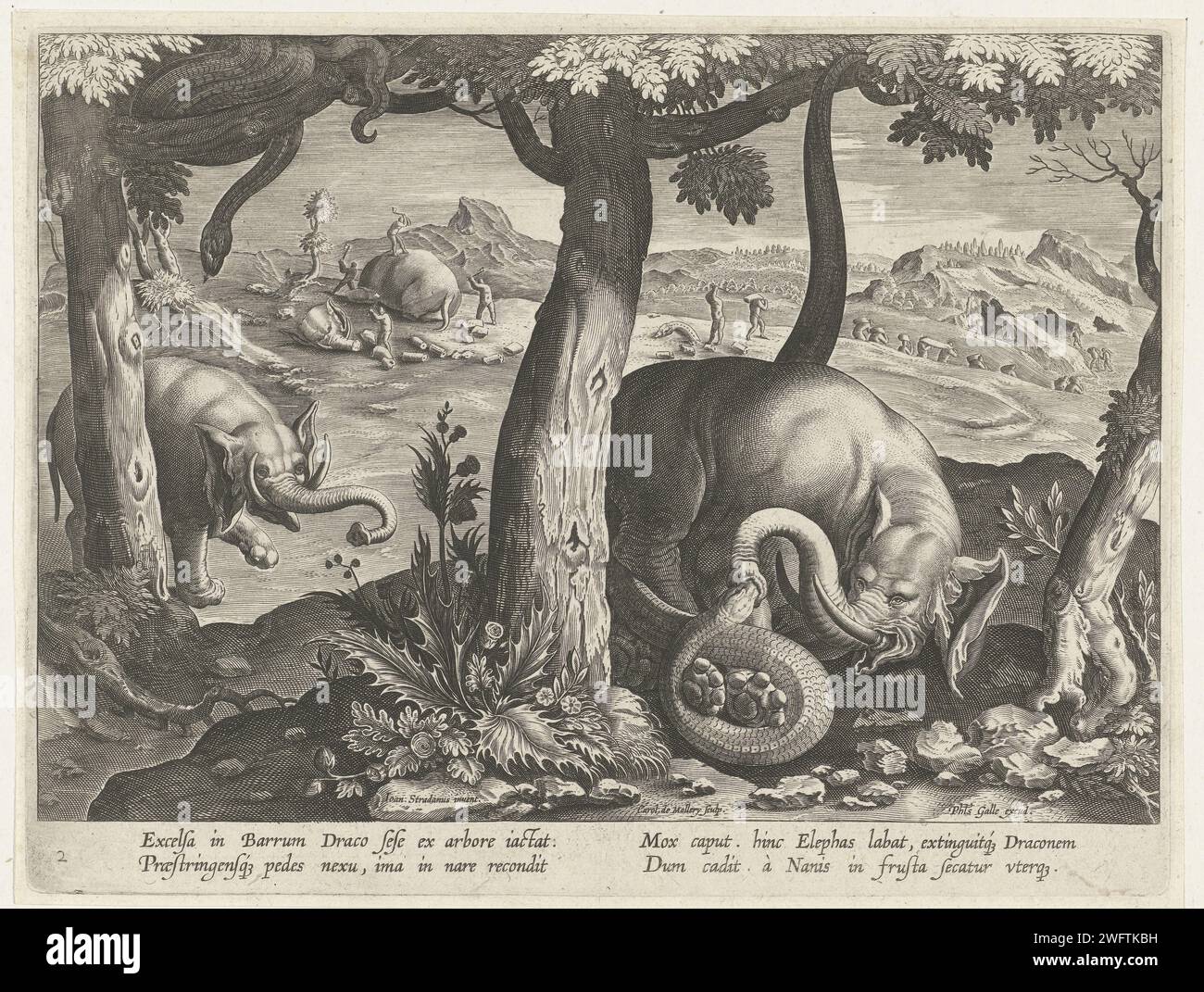Elephant in fight with snake, Karel van Mallery (attributed to), after ...