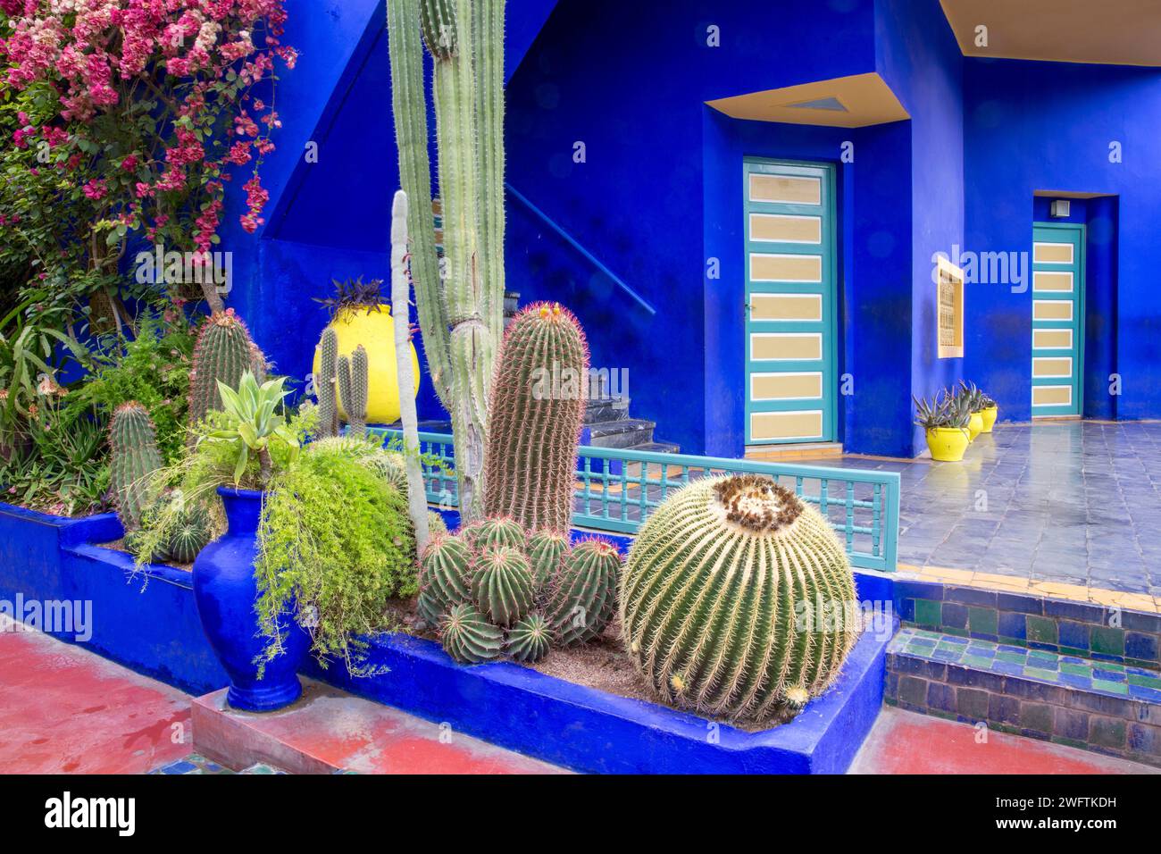 North Africa Morocco Marrakech Marrakesh Yves Saint Laurent garden ...