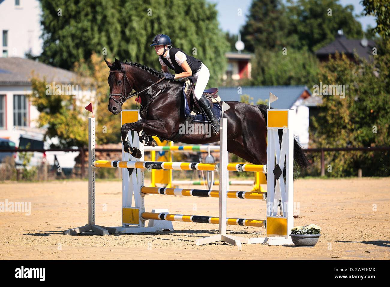 A rider in a show jumping competition jumping over an obstacle. The sun ...