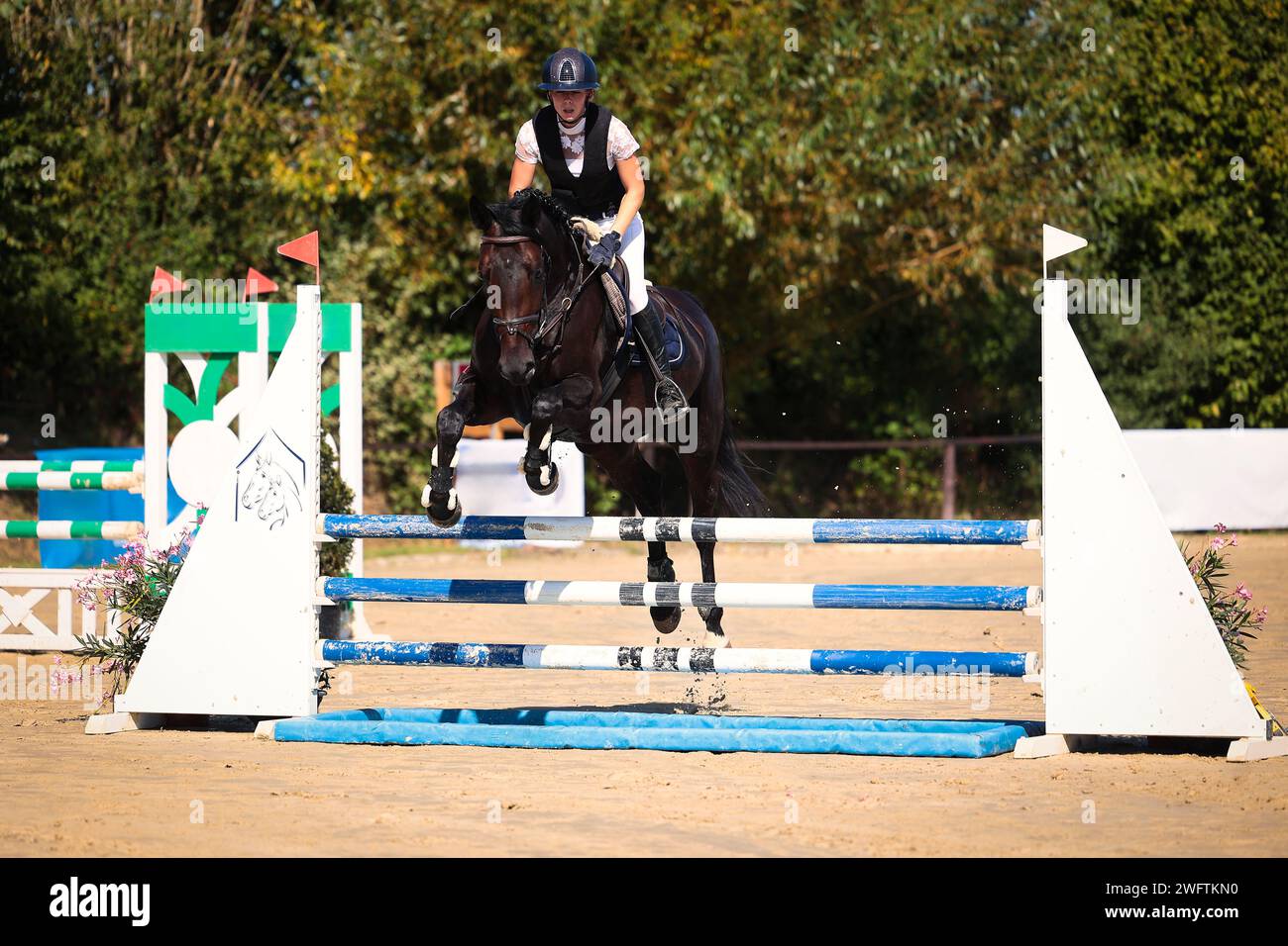 A rider in a show jumping competition jumping over an obstacle. The sun ...