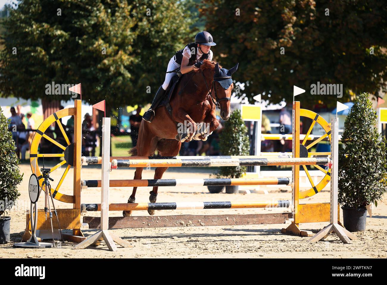 A rider in a show jumping competition jumping over an obstacle. The sun ...