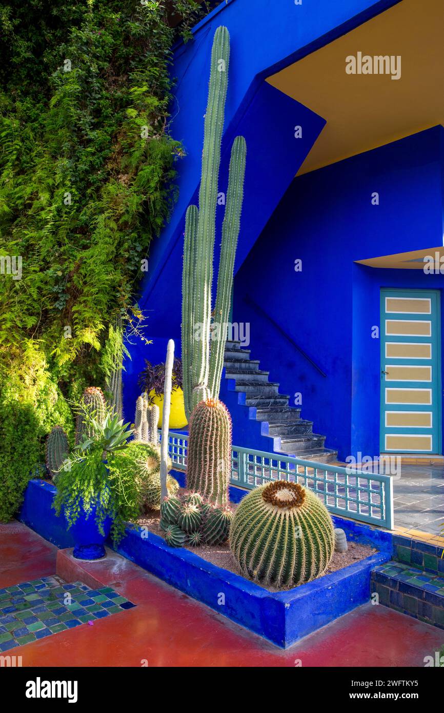 North Africa Morocco Marrakech Marrakesh Yves Saint Laurent garden ...