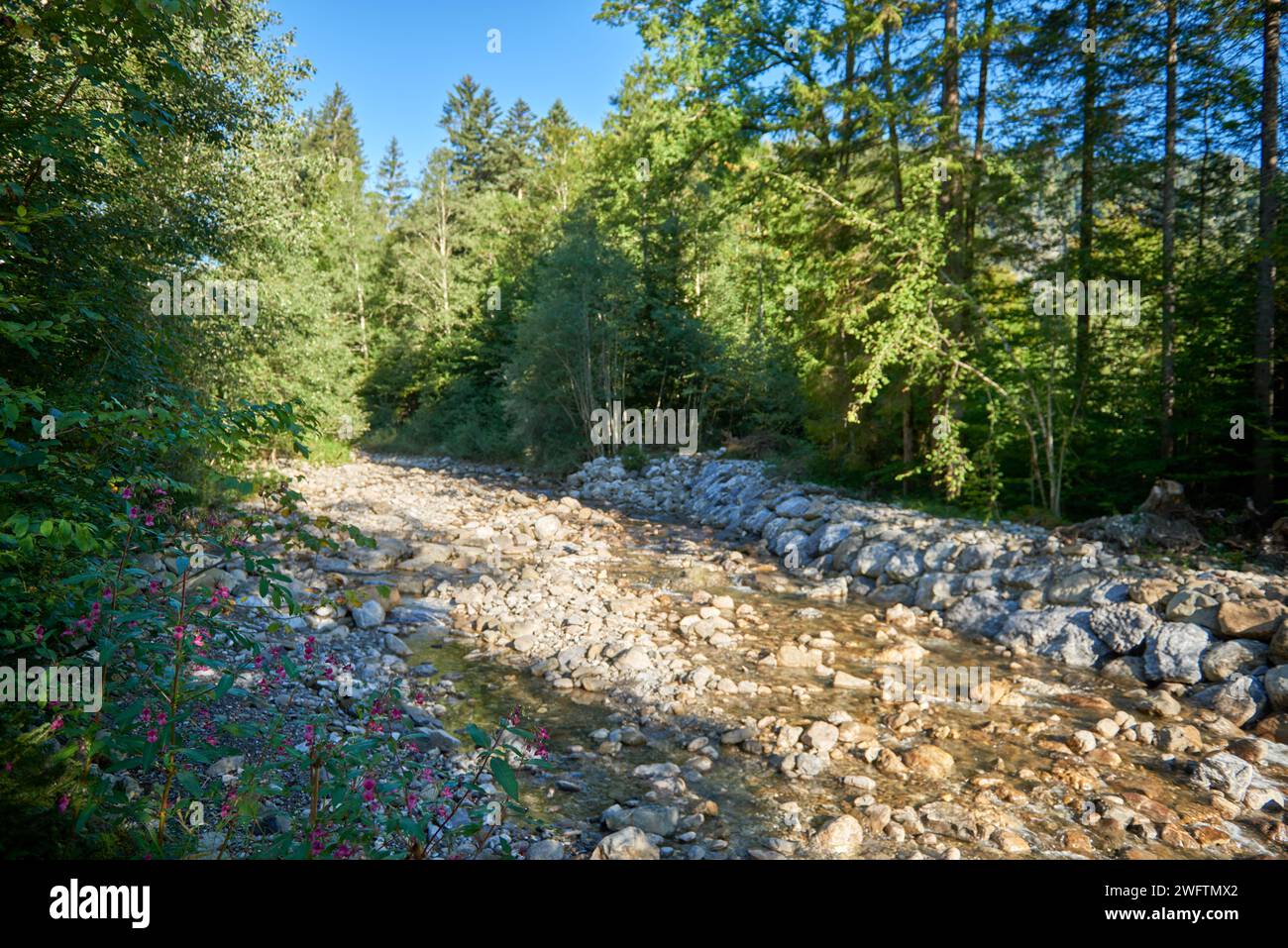 Alpine Oasis: A Mountain River's Journey through Rocky Shores and ...